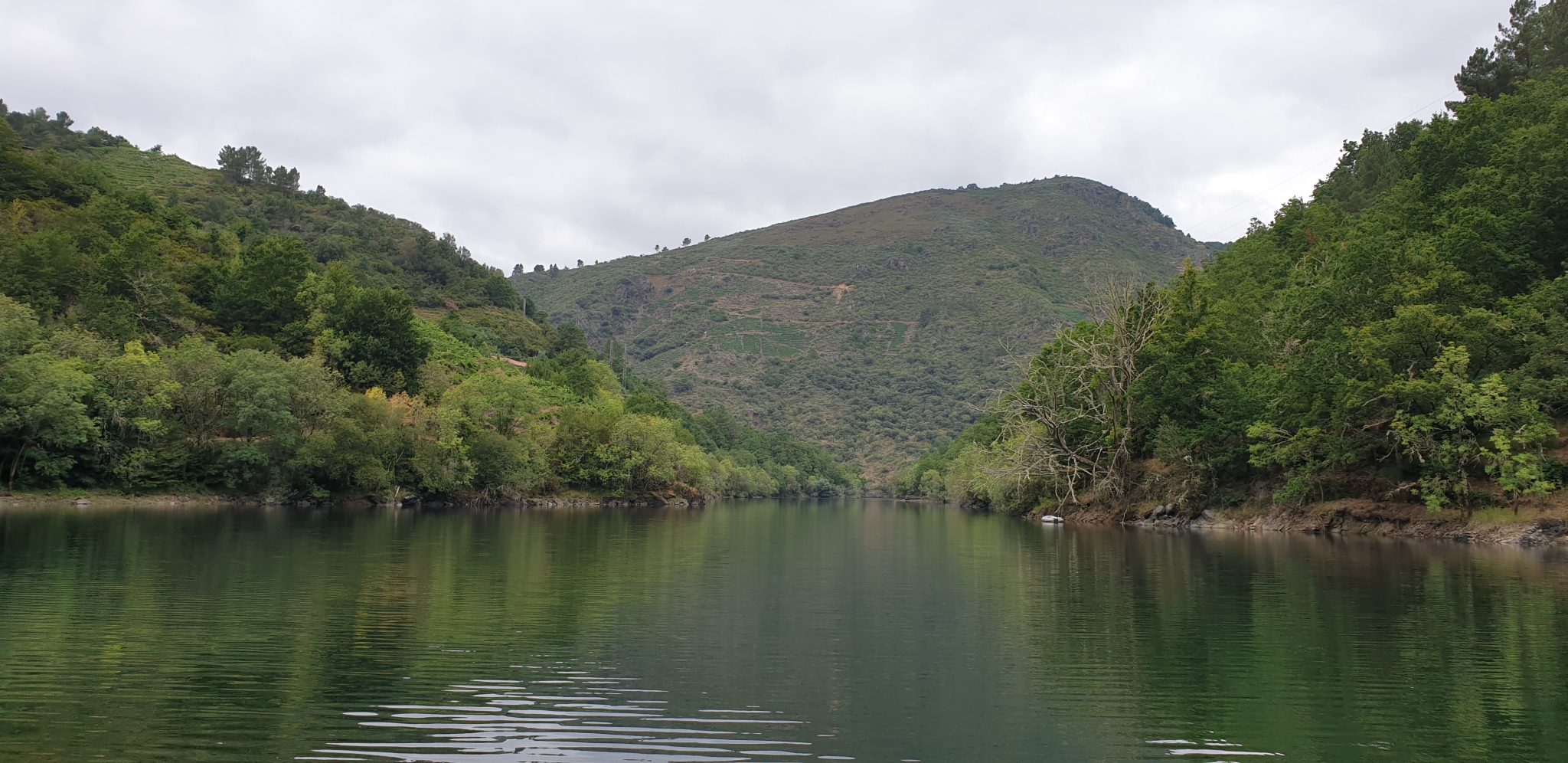 Pasarelas del río Mao, la ruta más bonita de la Ribeira Sacra